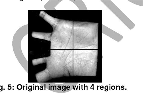 Textural Approach To Palmprint Identification