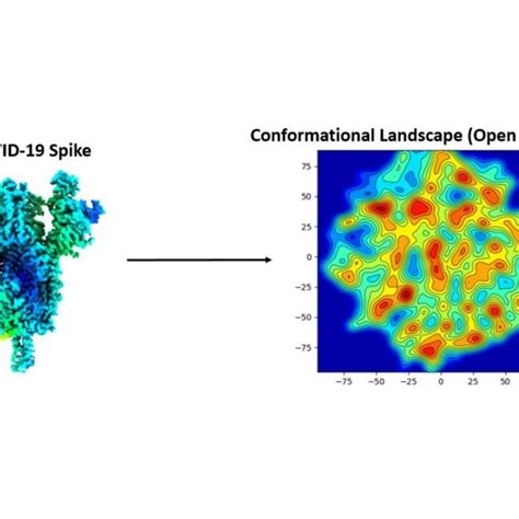 Conformational Landscape Recovered From An Open Closed Transition Of A