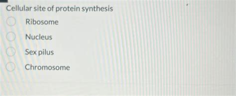 Solved Cellular Site Of Protein Synthesisribosomenucleussex
