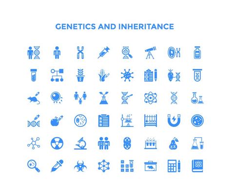Genetics Inheritance Vector Icon Set Frebers