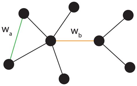 construction principle based on the maximal connected component if