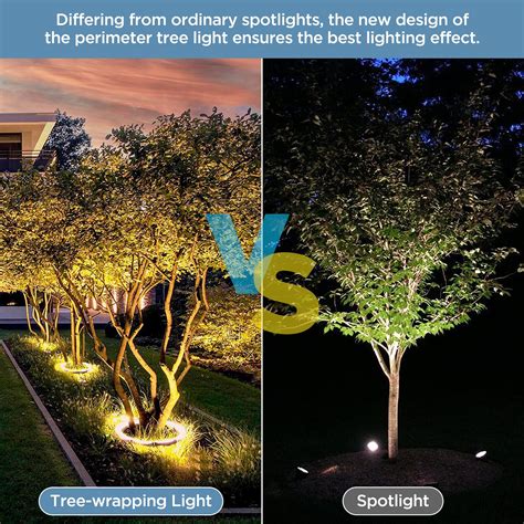 Low Voltage Landscape Lighting In Trees Low Voltage Landscape Wash