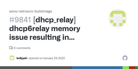 Dhcp Relay Dhcp Relay Memory Issue Resulting In Segfault Issue Sonic Net Sonic