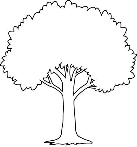 The Outline Of The Tree Is Black 9515360 Vector Art At Vecteezy The Outline Of The Tree Is Black 9515360 Vector Art At Vecteezy