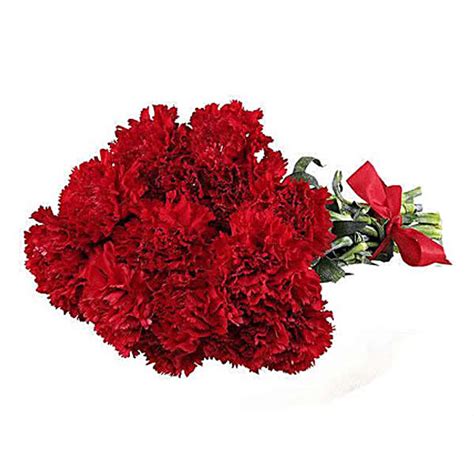 12 Red Carnations Canada T 12 Red Carnations Fnp