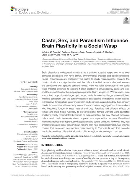 Pdf Caste Sex And Parasitism Influence Brain Plasticity In A Social Wasp Pdf Caste Sex And Parasitism Influence Brain Plasticity In A Social Wasp