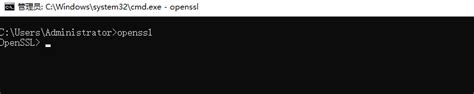 windows下的openssl的下载安装及版本查看 win10 查看是否安装openssl csdn博客