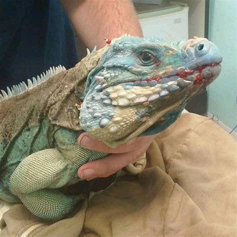 Leanie Van Wyk Posted On Linkedin