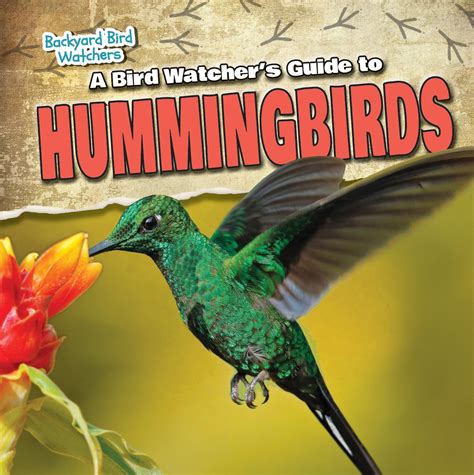 A Bird Watchers Guide To Hummingbirds Backyard Bird Watchers Arnim