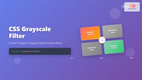 Css Blur Filter Complete Guide To Gaussian Blur Effects And Visual