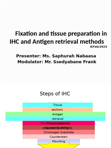 6 Fixation Tissue Processing And Antigen Retrieval Mtds Pdf Fixation Histology