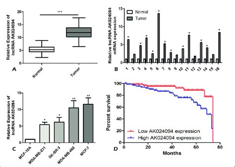 Ak024094 Was Highly Expressed In Bca Tissues And Cell Lines A