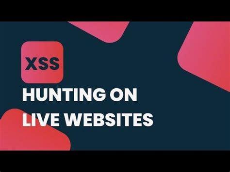 Ibrahim Husić On Linkedin Live Bug Bounty Hunting With Xss0r Finding