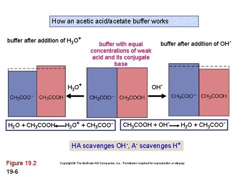 Chapter 19 Ionic Equilibria In Aqueous Systems 19 Chapter 19 Ionic Equilibria In Aqueous Systems 19