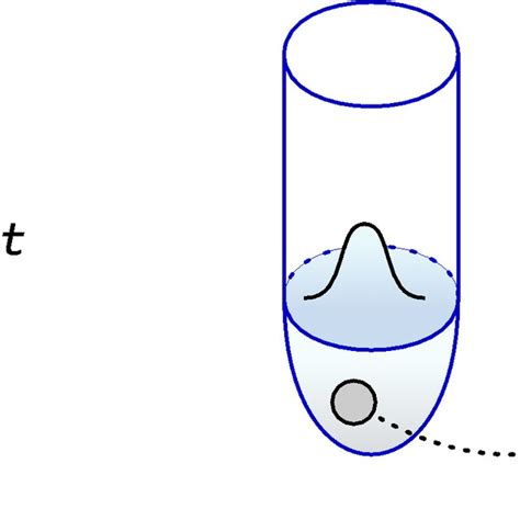 Schematic Illustration Of The Setup The Euclidean Path Integral For