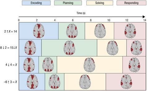 Visualizing Problem Solving In The Brain Neuroscience