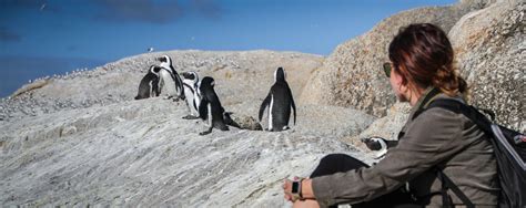 Sage 300 And Shopify Integration The Future Of E Commerce In South Africa