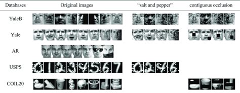 Example Images From The Five Databases And Their Noisy Versions