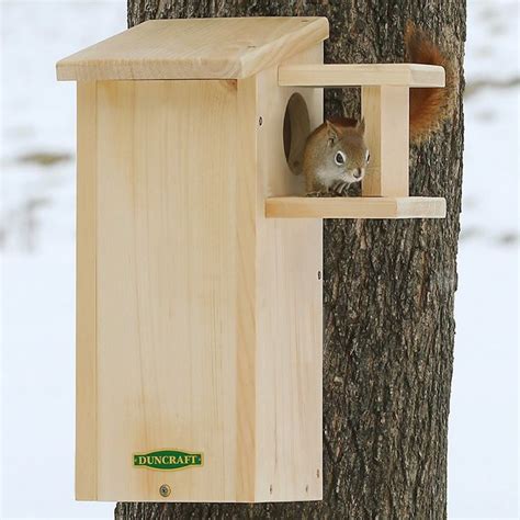 Handmade Squirrel Nest Chipmunk House Plans Balterff Squirrel Houses
