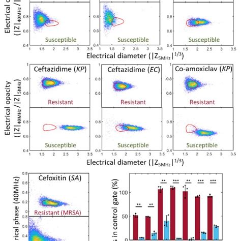 Enterococcus Faecalis Appear Under Microscope As Gram Positive Small