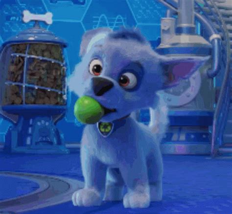 Rocky Paw Patrol Gif Rocky Paw Patrol Paw Patrol The Movie Discover My Xxx Hot Girl