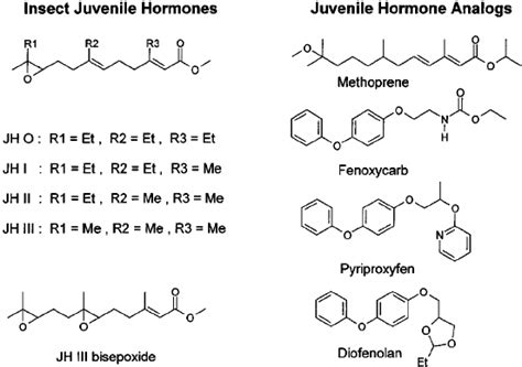 Chemical Structures Of The Juvenile Hormones Terpenoidal Methoprene Download Scientific
