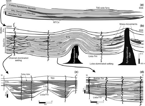 Schematic Cross Sections Illustrating The Nature And Distribution Of