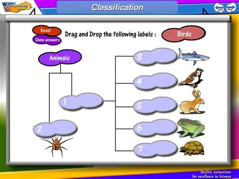 Life Processes And Classification Ppt Download