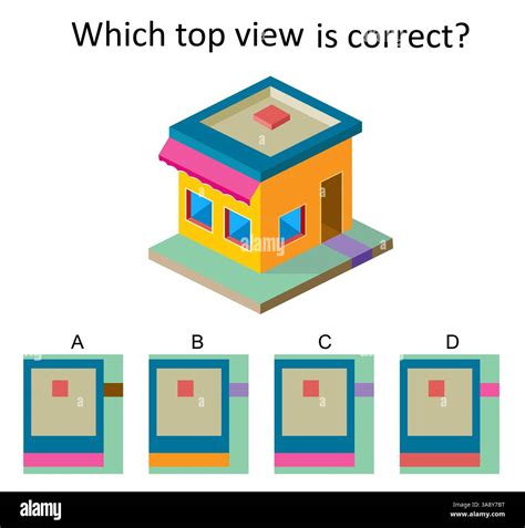 Logic Game Which Top Vıew Is Correct Iq Training Test Visual Intellect Vector Illustration