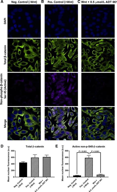 Suppression Of Colon Tumorigenesis In Mutant Apc Mice By A Novel Pde10
