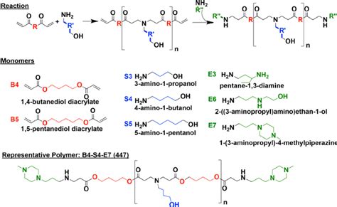 Polymers And Monomers