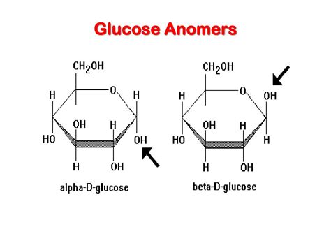Ppt Carbohydrates Powerpoint Presentation Free Download Id2687565