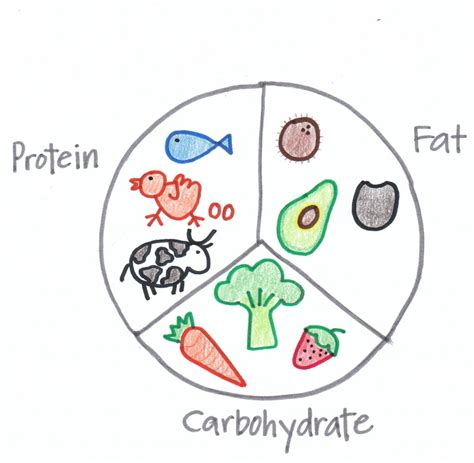 Why Macro Nutrients Matter Pilates