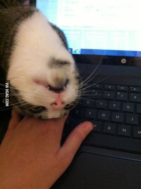 Feed Me 9gag