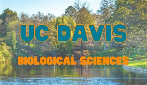 Transfer Requirements For Uc Davis Biological Sciences California Transfer Support Network