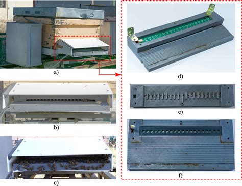 Figure 1 From Fpga Based Bee Counter System Semantic Scholar