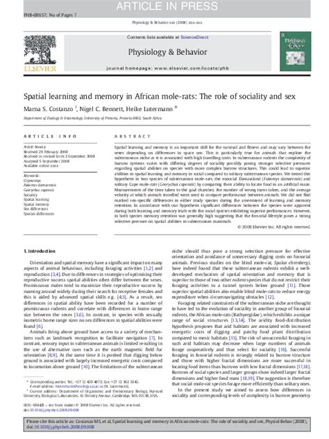 Pdf Spatial Learning And Memory In African Mole Rats The Role Of