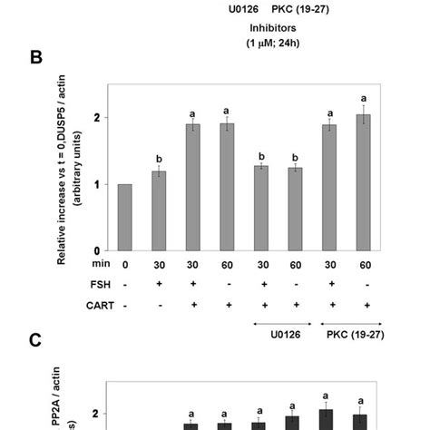 A Diagram Showing The Domain Structure Of Osbp Download Scientific Diagram
