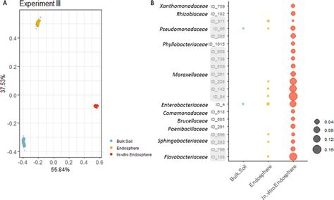Contribution Of The Seed Inherited Root Microbiome To The Maize Root