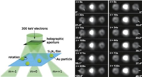 24 schematic illustration and experimental imaging of particle rotation