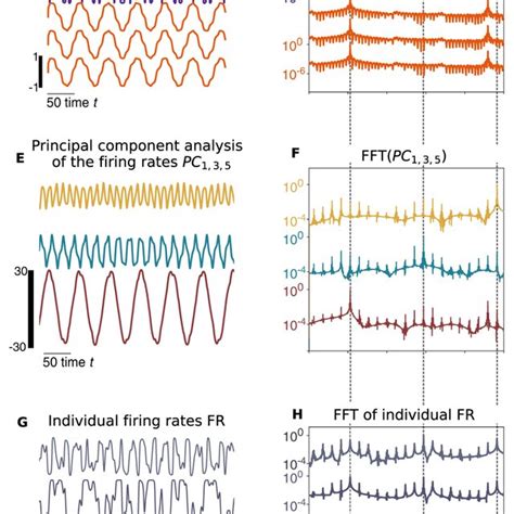 Recurrent Neural Network Features A Network Supervisor B Fast Fourier Download Scientific