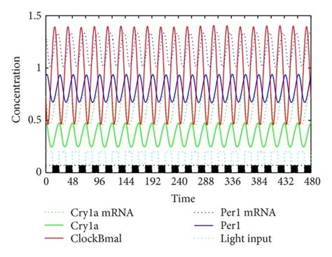 Stochastic Versus Deterministic Simulations Under Different Light