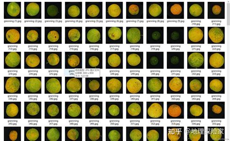 深度学习数据集—水果数据集大合集 知乎