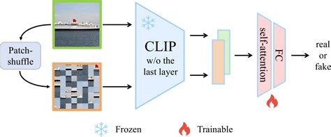 Towards More General Video Based Deepfake Detection Through Facial Feature Guided Adaptation For
