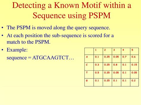 Ppt Local Multiple Sequence Alignment Sequence Motifs Powerpoint Presentation Id3369821