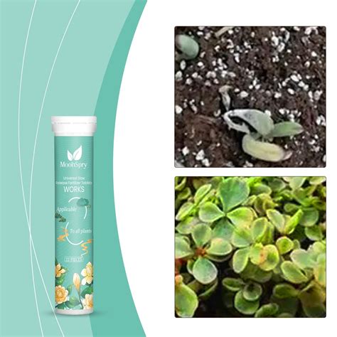 Pompotops Clearance Sales Universal Slowrelease Green Tablet Fertilizer Nutritious Seaweed