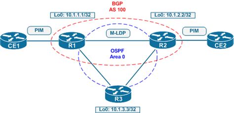 Using Mpls And M Ldp Signaling For Multicast Vpns