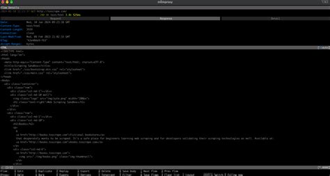 Nodejs Proxy Server How To Guide