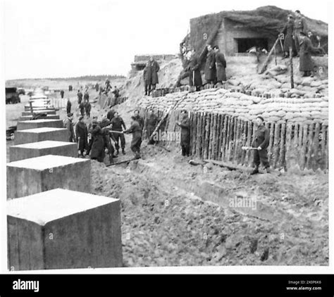 Engineers Of The 1st Rifle Brigade 1st Polish Corps Are Shown