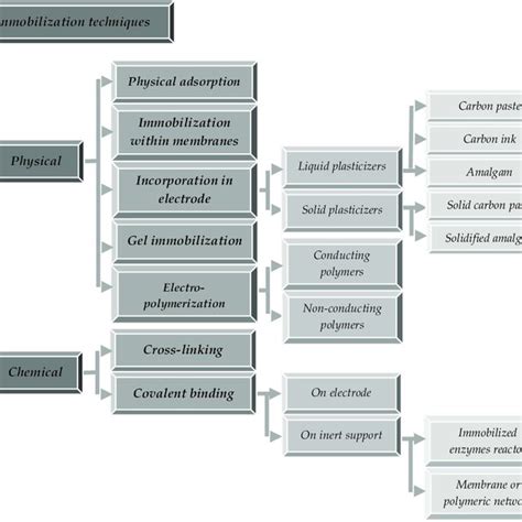 Biosensors Classification According To The Bioreceptor Type Download